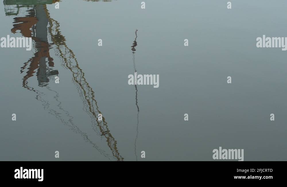 Crane in the water Stock Videos & Footage - HD and 4K Video Clips - Alamy