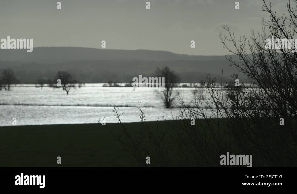 Flooding somerset uk Stock Videos & Footage - HD and 4K Video Clips - Alamy