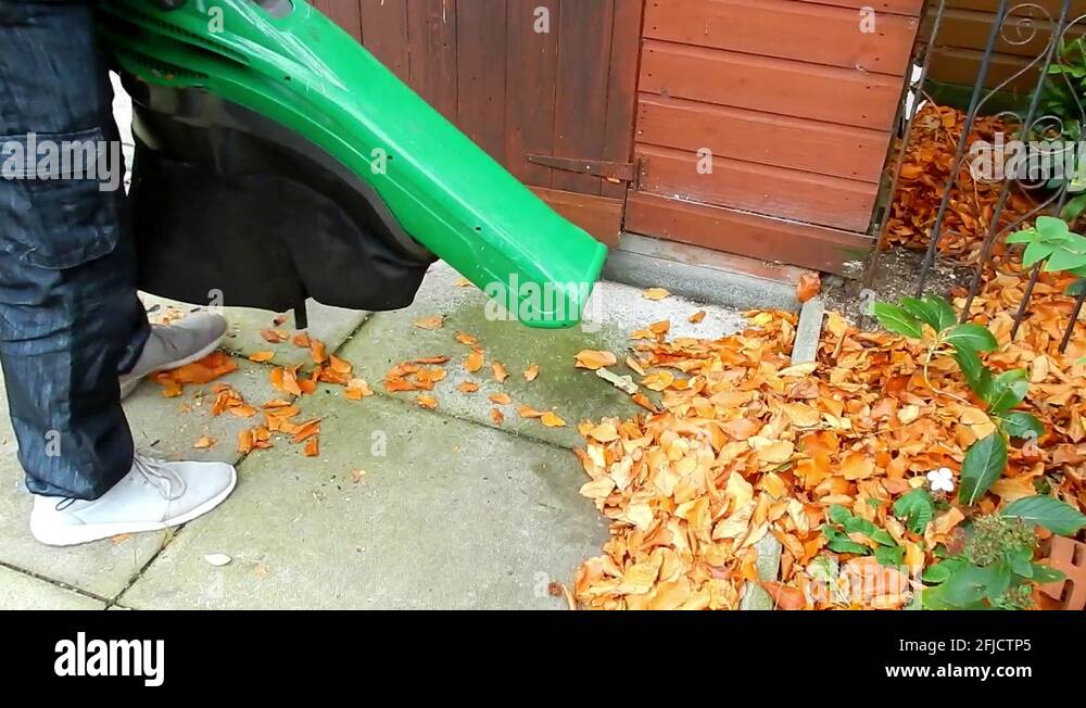 Clearing leaves and garden Stock Videos & Footage - HD and 4K Video ...