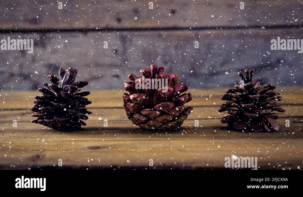 Dried cone Stock Videos & Footage - HD and 4K Video Clips - Alamy