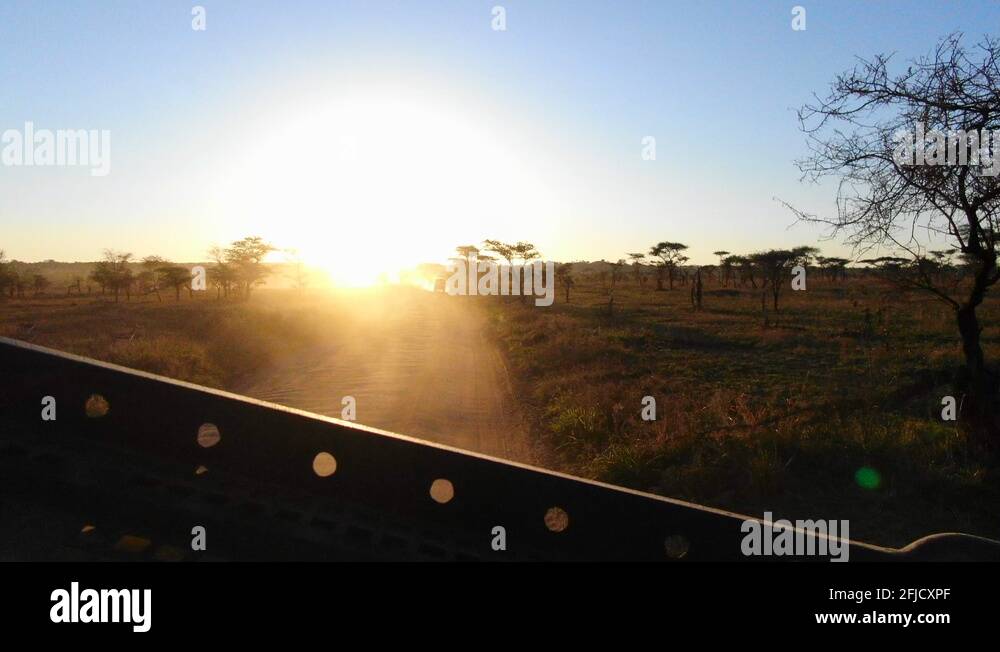 African back view Stock Videos & Footage - HD and 4K Video Clips - Alamy