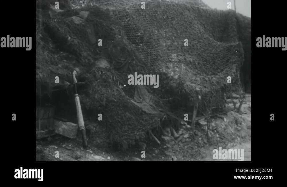 Shell cart Stock Videos & Footage - HD and 4K Video Clips - Alamy