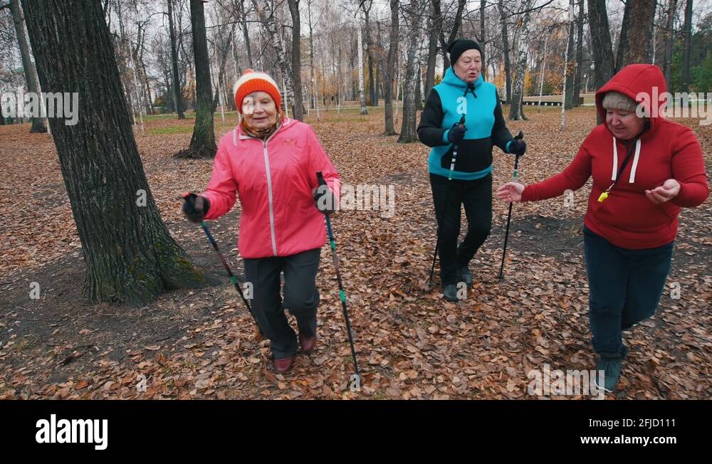 Women with walking sticks Stock Videos & Footage - HD and 4K Video ...