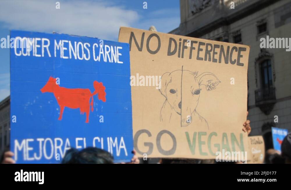 No meat sign Stock Videos & Footage - HD and 4K Video Clips - Alamy