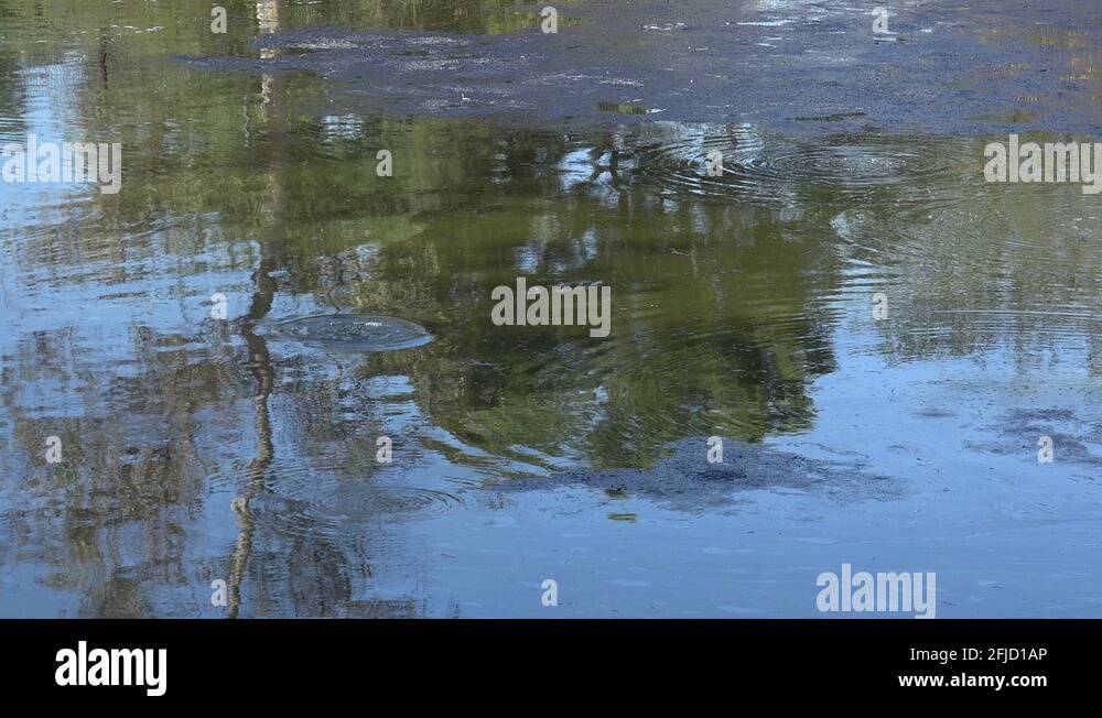 Tar seep Stock Videos & Footage - HD and 4K Video Clips - Alamy