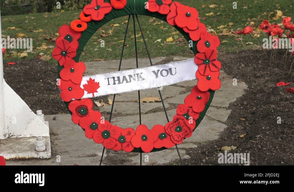 Remembrance day flowers Stock Videos & Footage - HD and 4K Video Clips ...