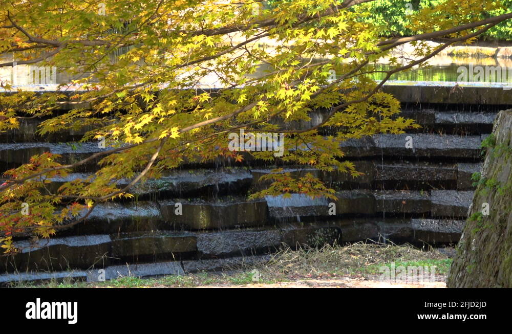 Fall Foliage over Waterfall at Nara Park in Japan -Pan Left Stock Video ...