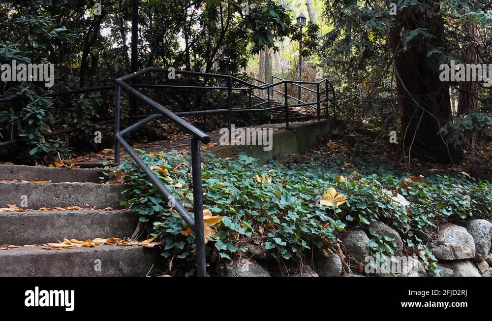 Park trails with stairs Stock Videos & Footage - HD and 4K Video Clips ...