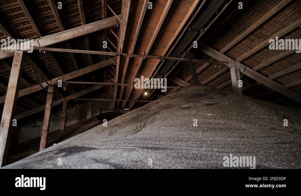 Storing grains Stock Videos & Footage - HD and 4K Video Clips - Alamy