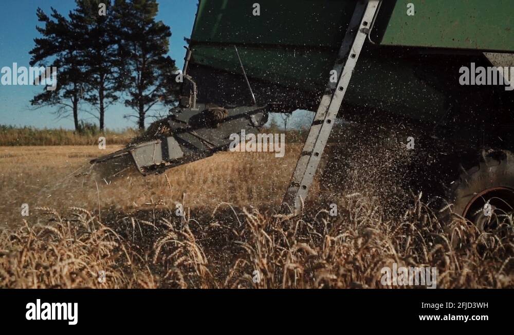 Straw chopper Stock Videos & Footage - HD and 4K Video Clips - Alamy
