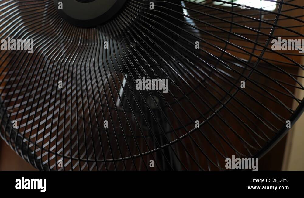 Electric fan blowing Stock Videos & Footage - HD and 4K Video Clips - Alamy