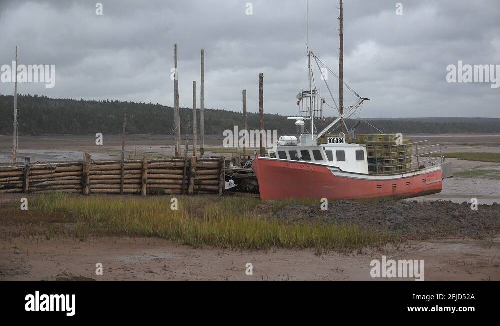 Log dock Stock Videos & Footage - HD and 4K Video Clips - Alamy