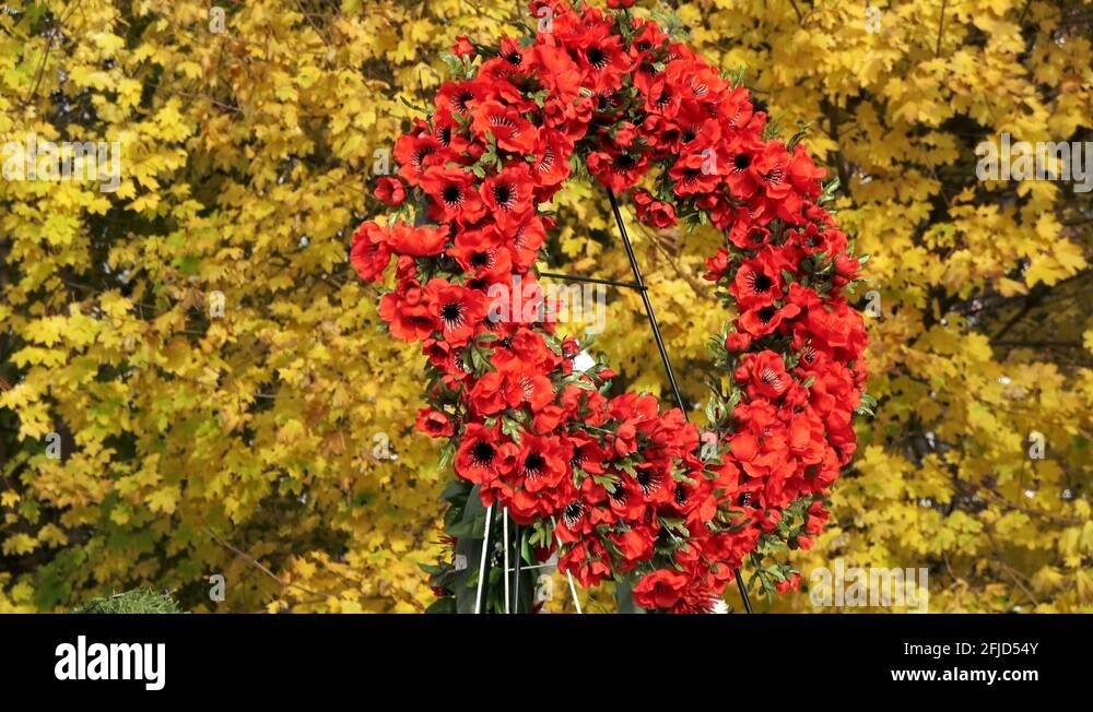 Poppy wreath remembrance day Stock Videos & Footage - HD and 4K Video ...
