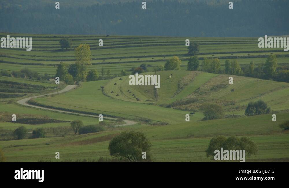 Farmed land Stock Videos & Footage - HD and 4K Video Clips - Alamy