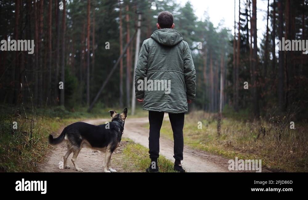 Man and animal Stock Videos & Footage - HD and 4K Video Clips - Alamy