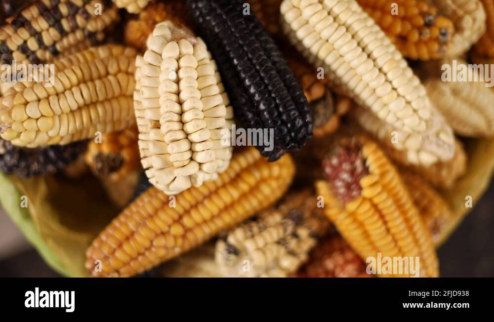 Peru corn Stock Videos & Footage - HD and 4K Video Clips - Alamy