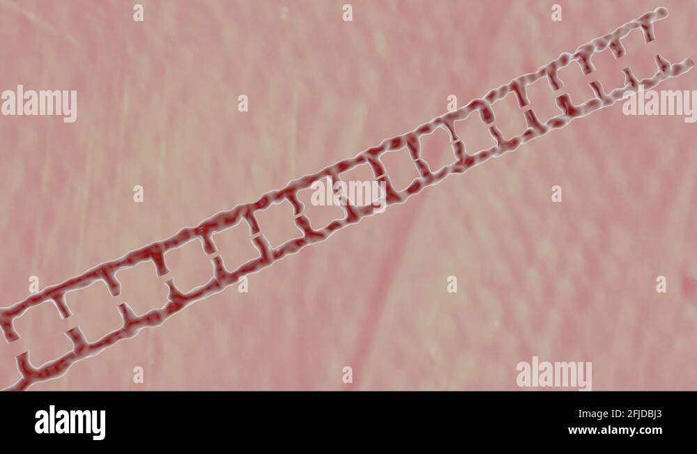 Full PCR cycle complete polymerase chain reaction real time pcr taq ...