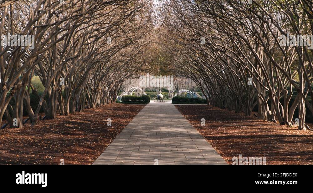 Arboretum tree Stock Videos & Footage - HD and 4K Video Clips - Alamy