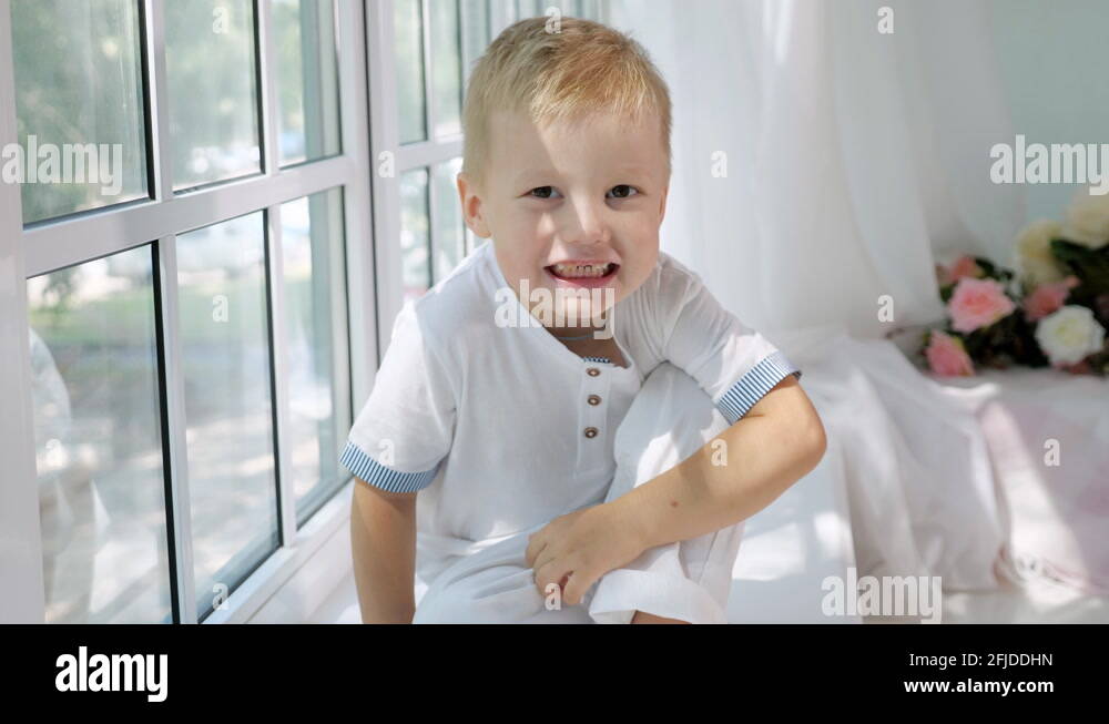 Cute little nose Stock Videos & Footage - HD and 4K Video Clips - Alamy