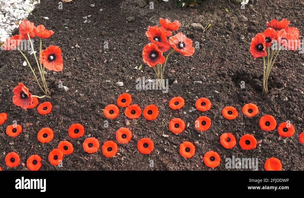 Remembrance day 2018 Stock Videos & Footage - HD and 4K Video Clips - Alamy