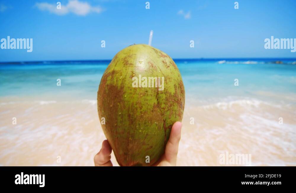 Hand holding coconut Stock Videos & Footage - HD and 4K Video Clips - Alamy