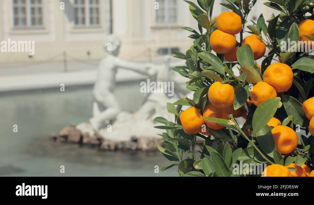 Cupids garden Stock Videos & Footage - HD and 4K Video Clips - Alamy