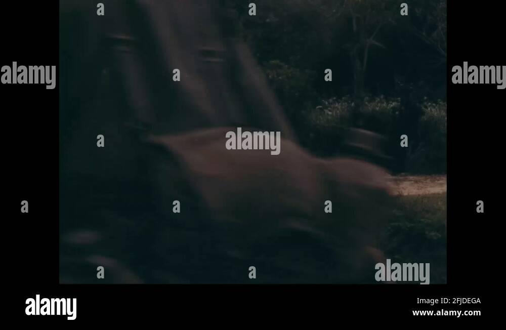 Search and destroy vietnam Stock Videos & Footage - HD and 4K Video ...