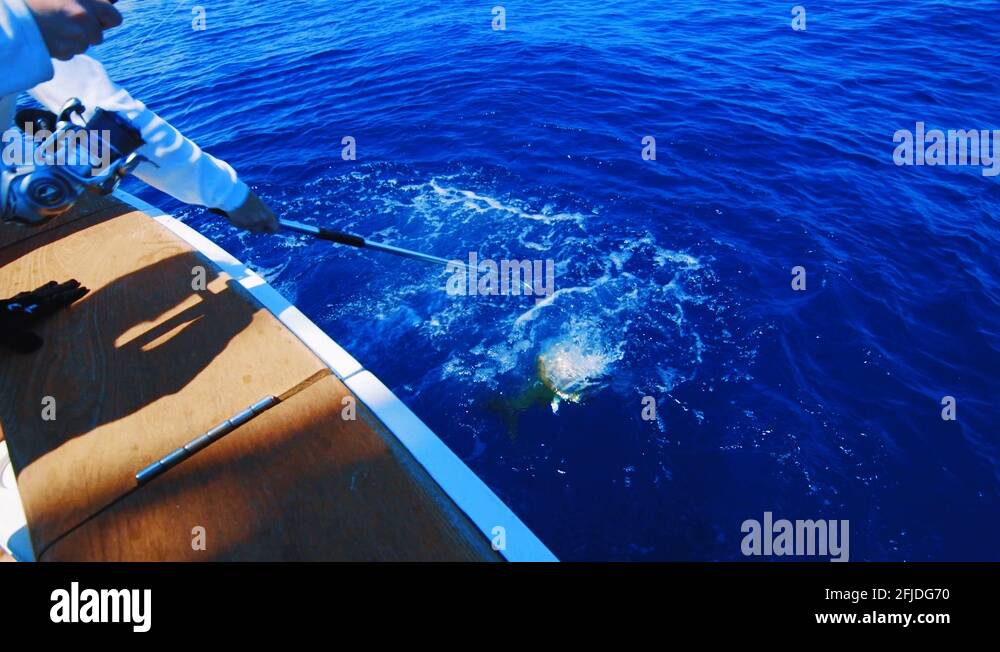 Fisherman splashing fish Stock Videos & Footage - HD and 4K Video Clips ...