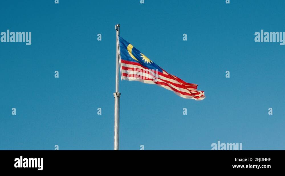 Tiger flag Stock Videos & Footage - HD and 4K Video Clips - Alamy