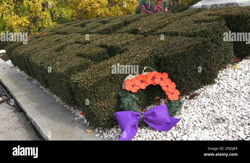 Remembrance day poppy soldiers Stock Videos & Footage - HD and 4K Video ...