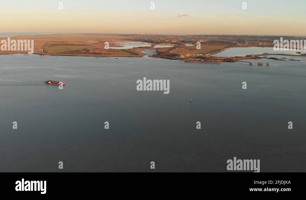 History of rspb Stock Videos & Footage - HD and 4K Video Clips - Alamy