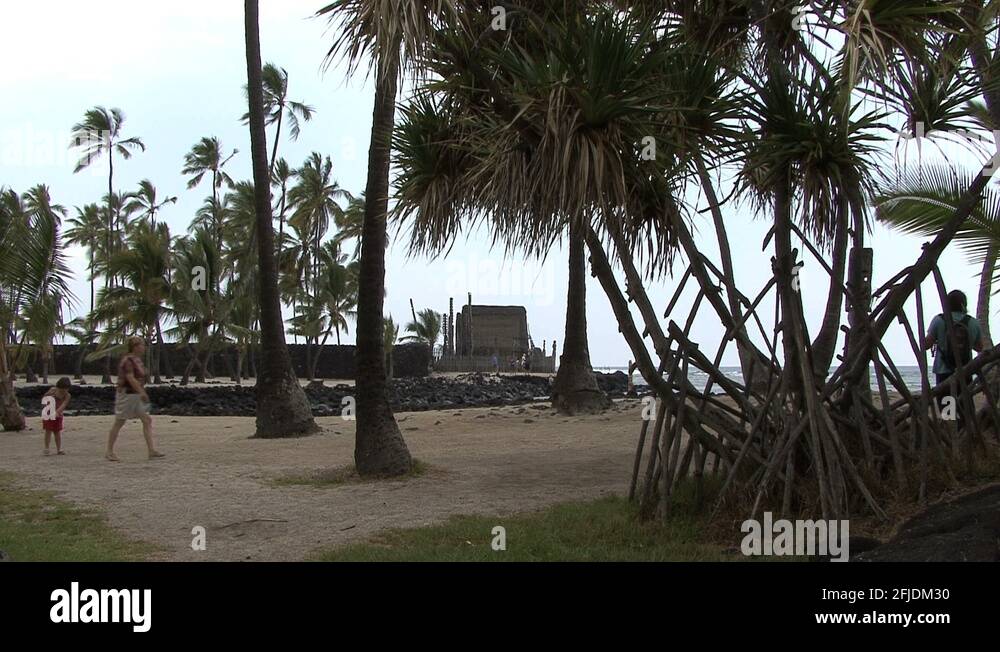 Refuge tree Stock Videos & Footage - HD and 4K Video Clips - Alamy