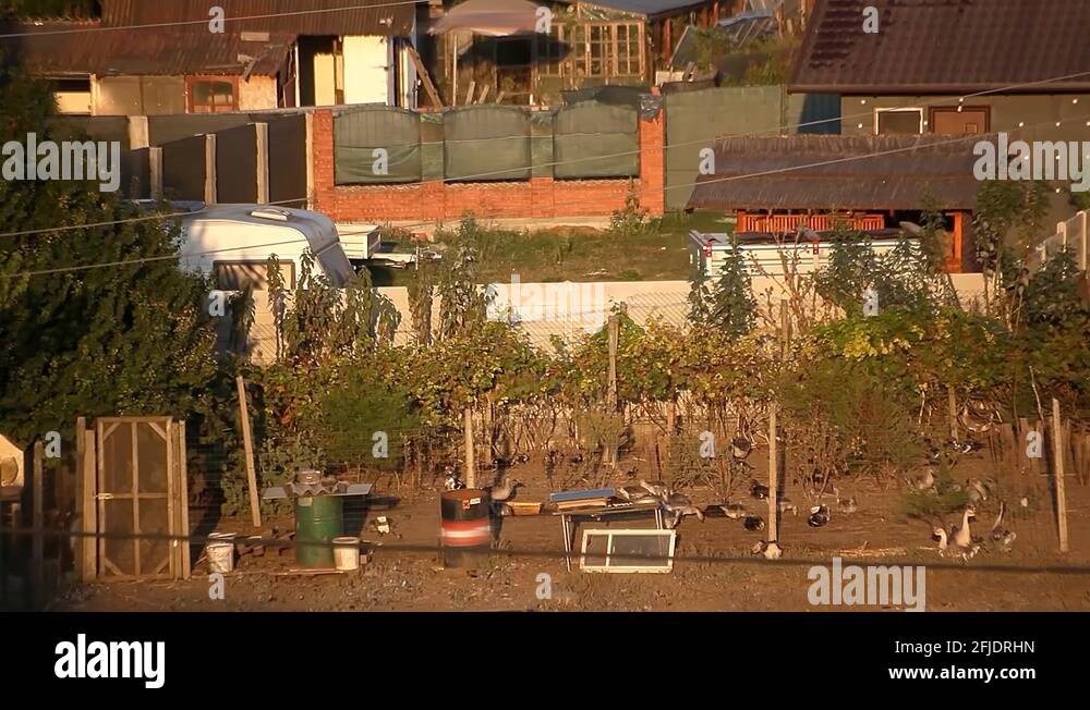 Farm settlement Stock Videos & Footage - HD and 4K Video Clips - Alamy