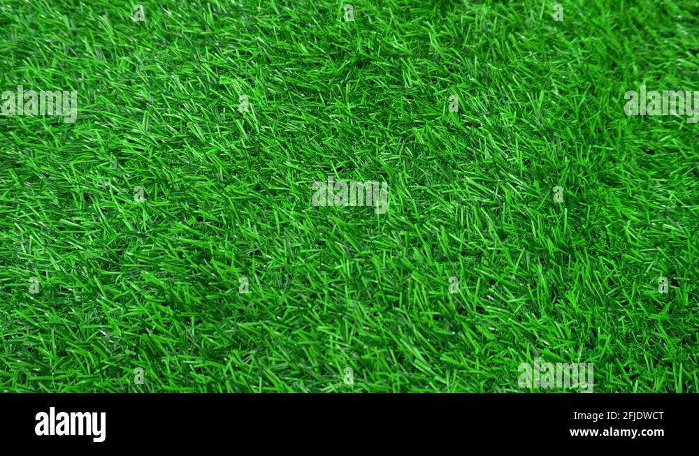 Panorama lawn grass Stock Videos & Footage - HD and 4K Video Clips - Alamy