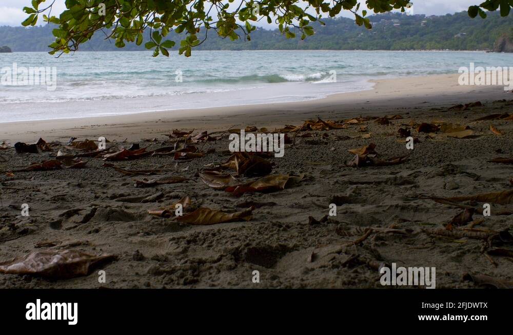 Malaysia costa rica Stock Videos & Footage - HD and 4K Video Clips - Alamy