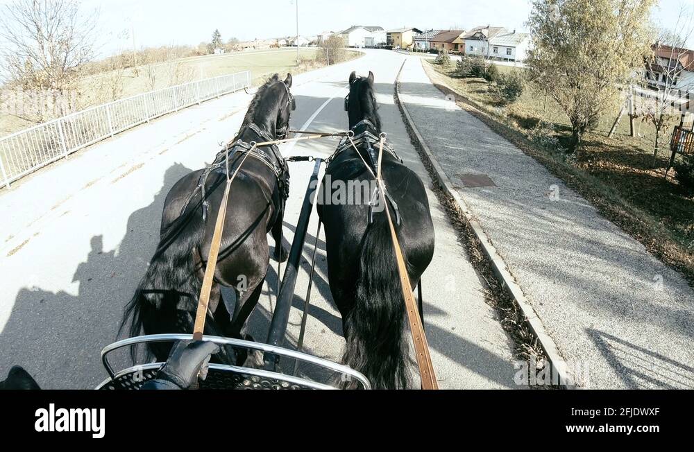 Two person carriage Stock Videos & Footage - HD and 4K Video Clips - Alamy
