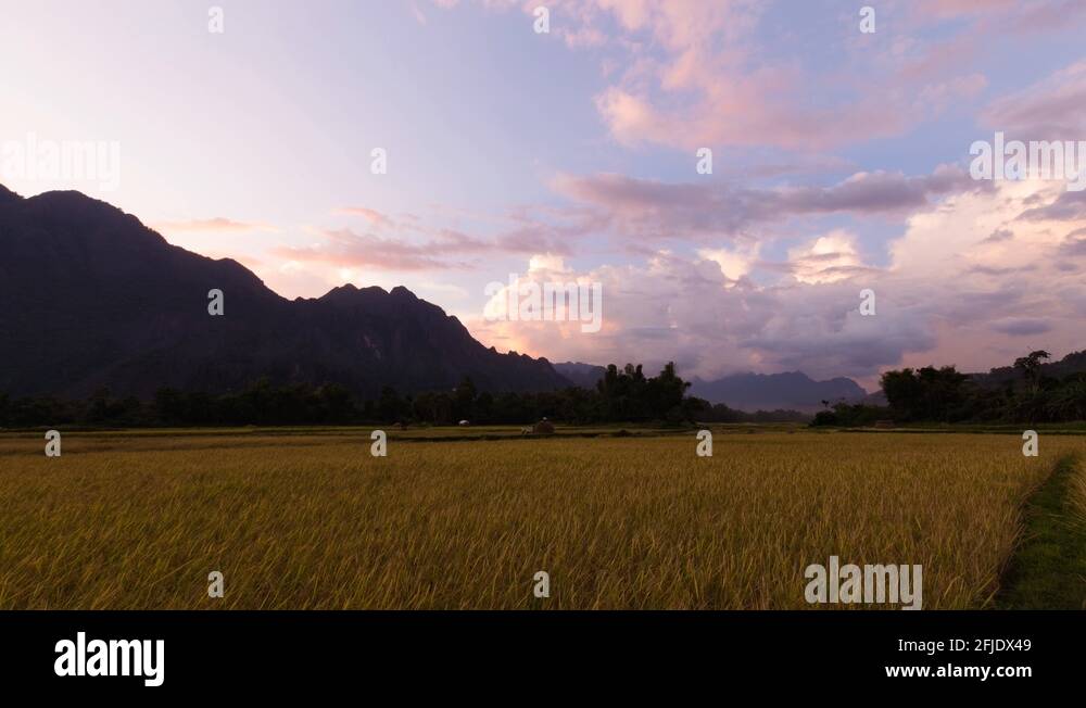 Valley of rice field Stock Videos & Footage - HD and 4K Video Clips - Alamy