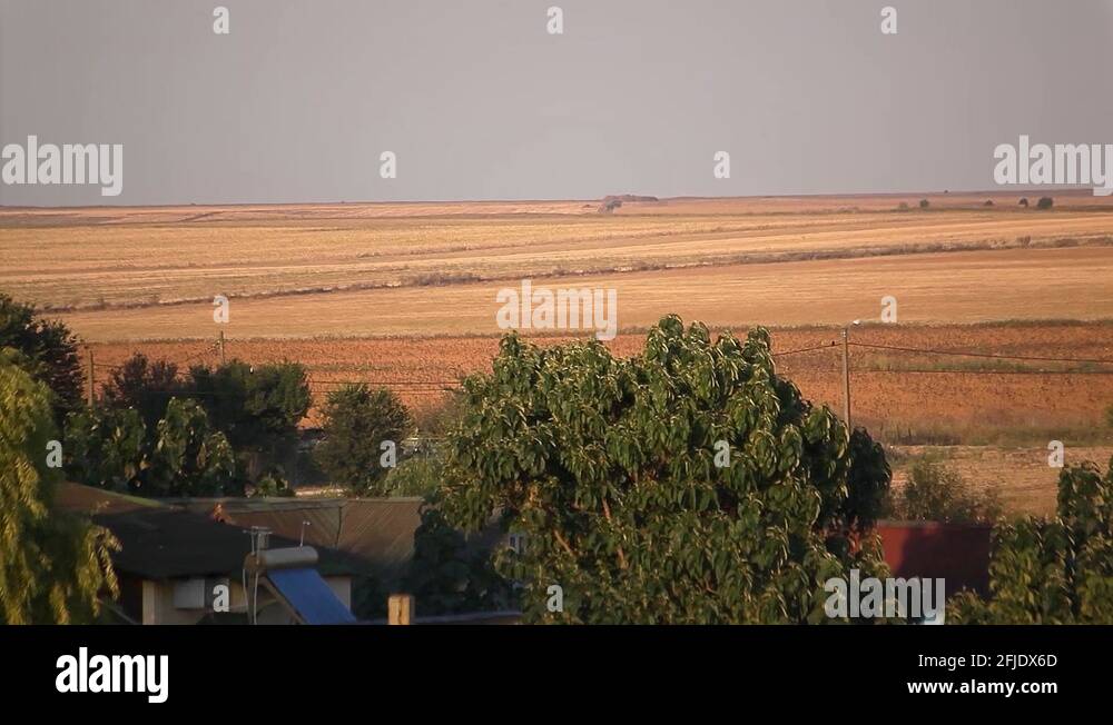 Field horizontal Stock Videos & Footage - HD and 4K Video Clips - Alamy