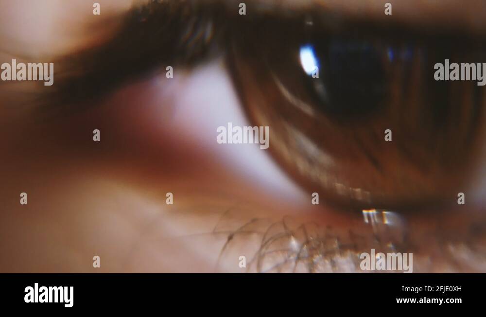Twinkling eyes Stock Videos & Footage - HD and 4K Video Clips - Alamy
