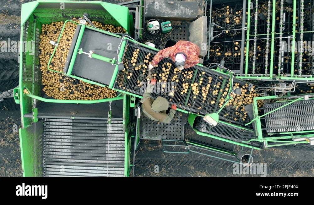 Crop gathering Stock Videos & Footage - HD and 4K Video Clips - Alamy