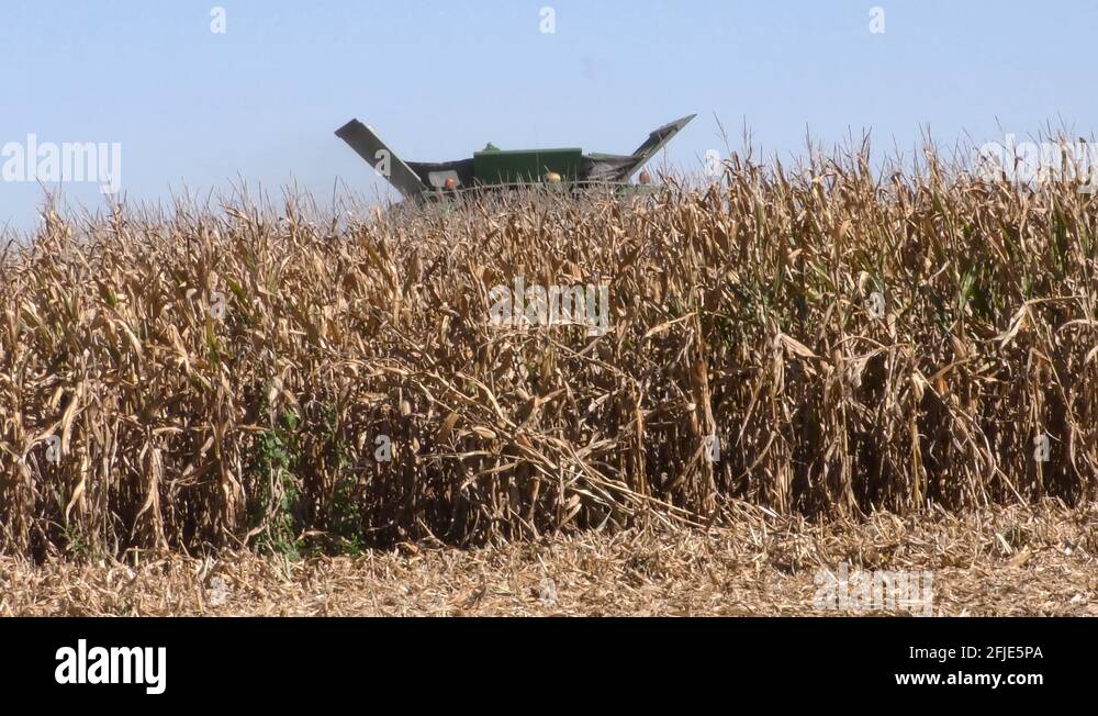 Indiana corn Stock Videos & Footage - HD and 4K Video Clips - Alamy