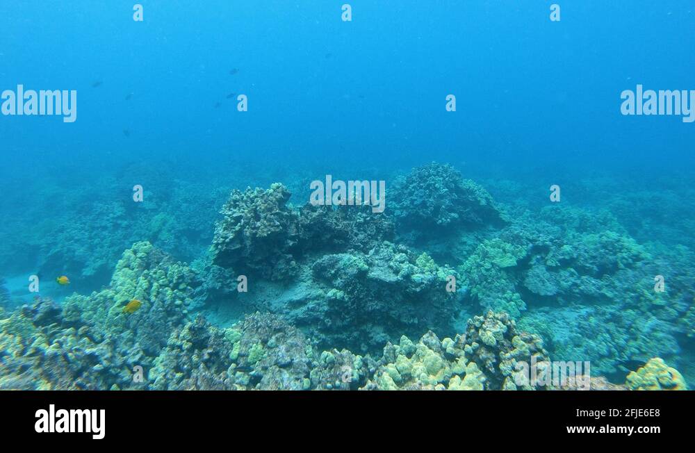 40 feet Stock Videos & Footage - HD and 4K Video Clips - Alamy