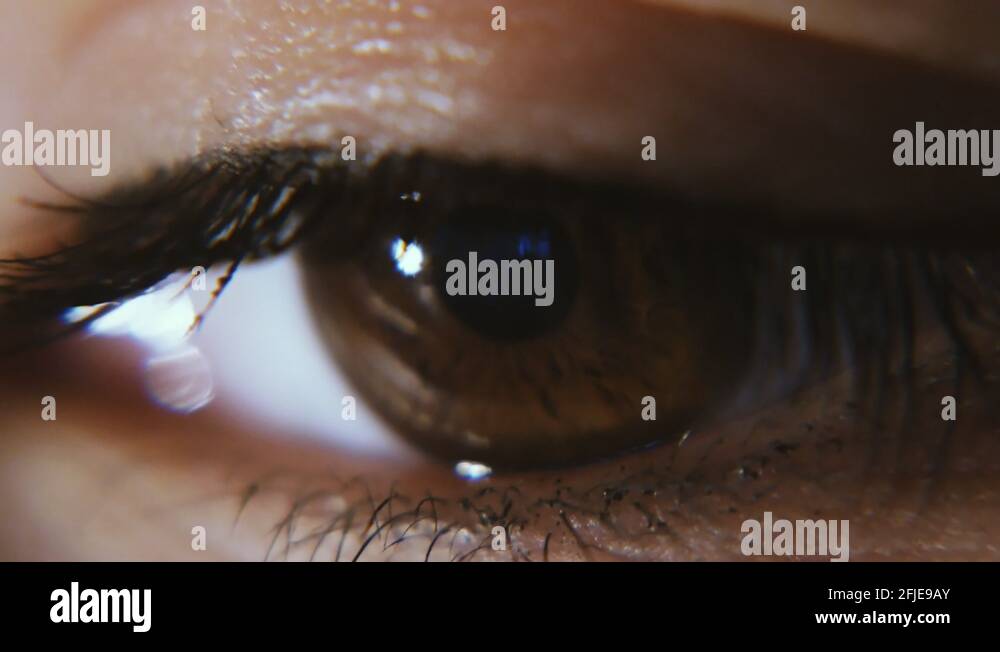 Oval eye Stock Videos & Footage - HD and 4K Video Clips - Alamy