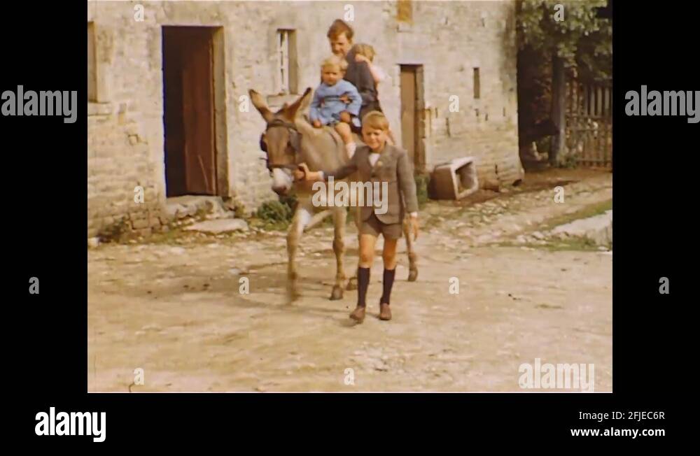 Sitting on donkey Stock Videos & Footage - HD and 4K Video Clips - Alamy
