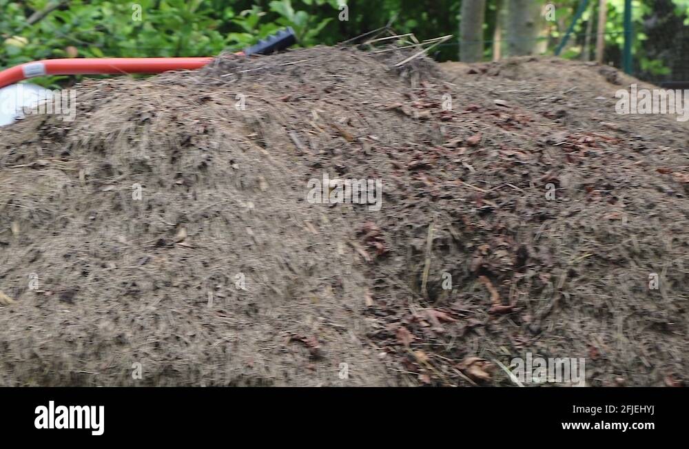 Horse manure pile Stock Videos & Footage - HD and 4K Video Clips - Alamy