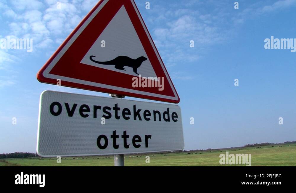 Otter crossing road sign Stock Videos & Footage - HD and 4K Video Clips ...