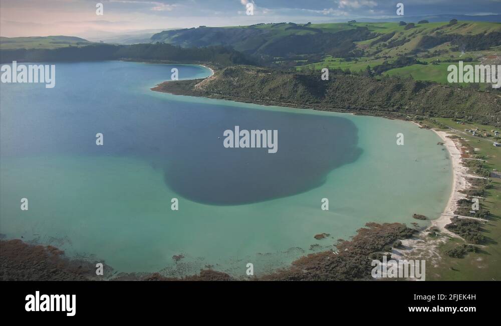 Iwi new zealand Stock Videos & Footage - HD and 4K Video Clips - Alamy