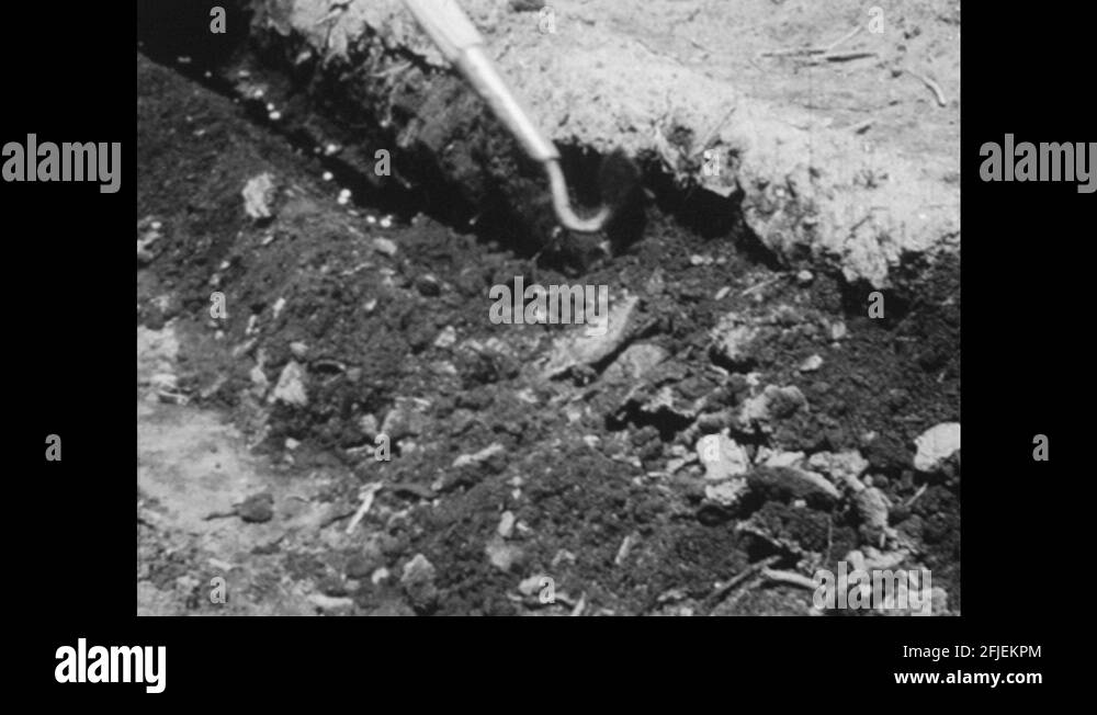 1950s: Girls dig into earth Stock Video Footage - Alamy