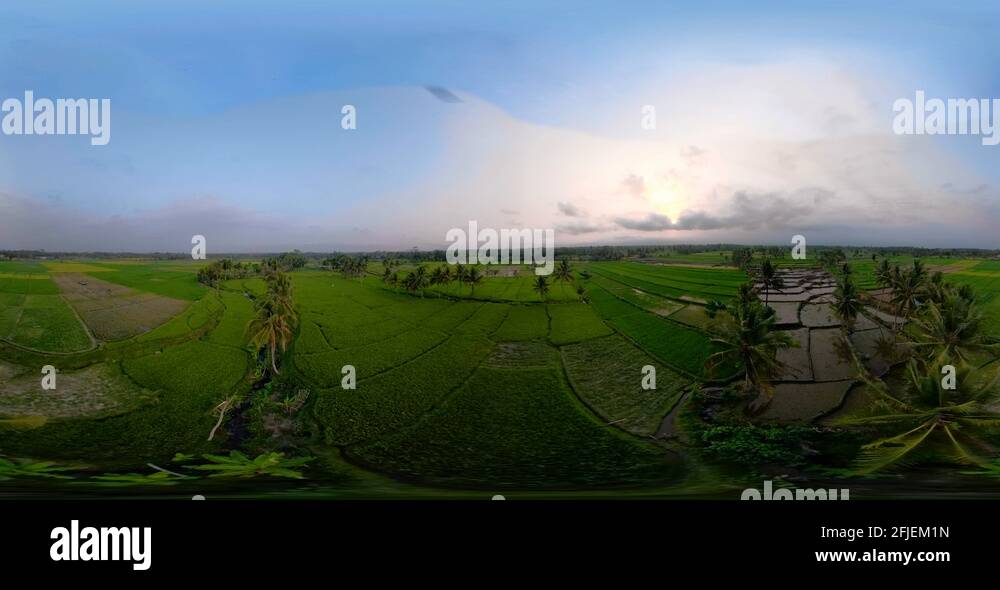 Rice terraces and agricultural land in indonesia vr360 Stock Video ...