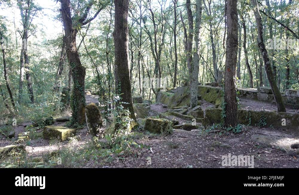 Suggestive Stock Videos & Footage - HD and 4K Video Clips - Alamy